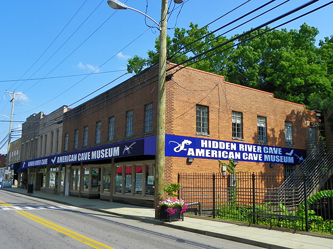 Horse Cave's American Cave Museum brings underground wonders to light. A unique attraction that gives this small town its distinctive character.