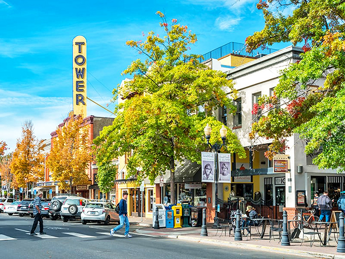 Tree lined streets surrounds this humble downtown&mdash;proof that community spirit doesn't require fancy architecture, just genuine people.