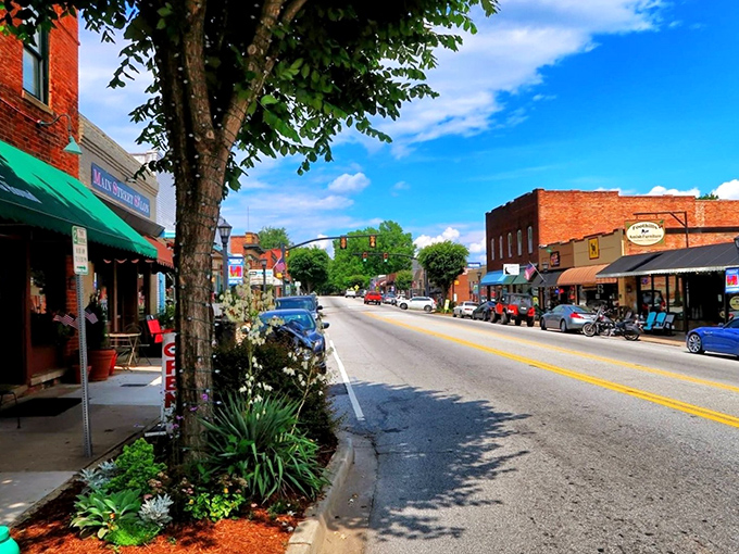 Landrum's vibrant main street showcases colorful storefronts where every shop owner knows your name and coffee preference.