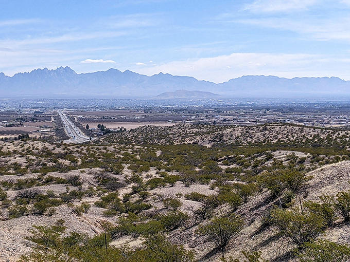 Las Cruces' stunning mountain backdrop frames this desert city, where retirement feels like a permanent vacation.