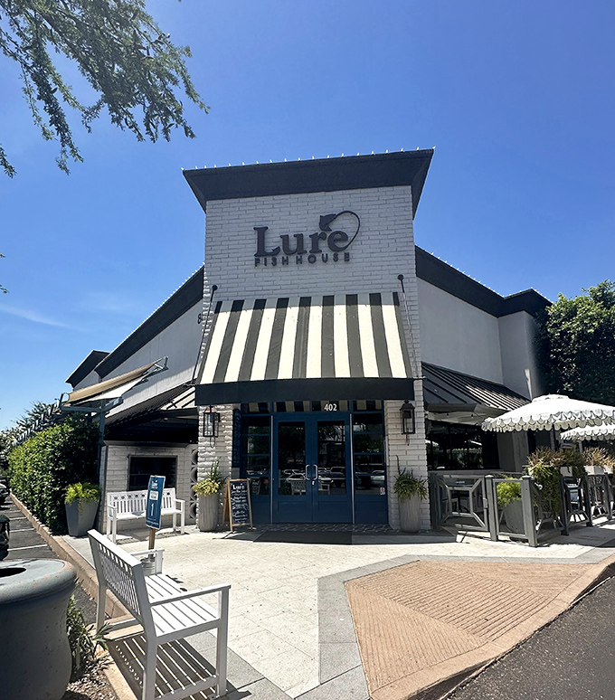 Lure's crisp white exterior with black-and-white awnings screams "coastal chic" in the desert. It's like the Hamptons and Arizona had a beautiful restaurant baby.