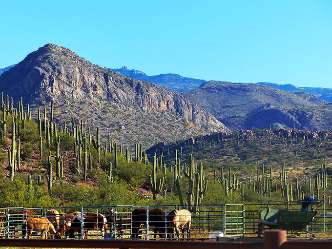 Vail's newer homes sit comfortably against the desert backdrop, where your retirement dollars buy more house and more view.