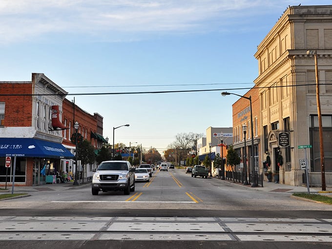 Experience the nostalgic charm of this local street, where you can visit the library or explore unique shops along the tracks.