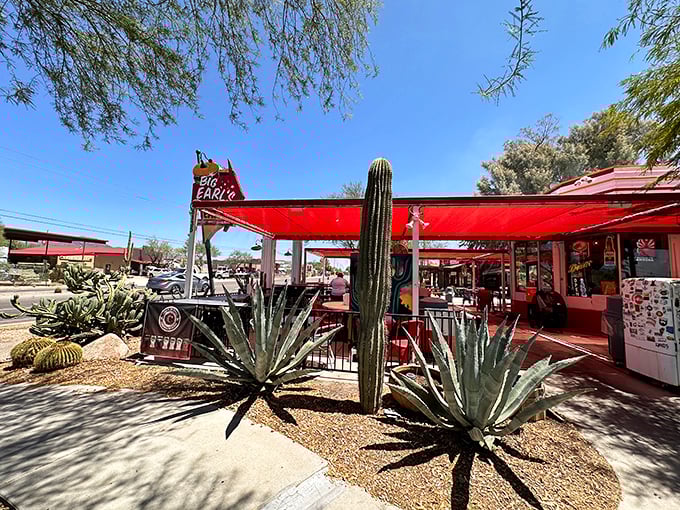 Desert plants frame burger perfection at Big Earl's. Red canopies and cacti create Arizona's most appetizing outdoor dining room.
