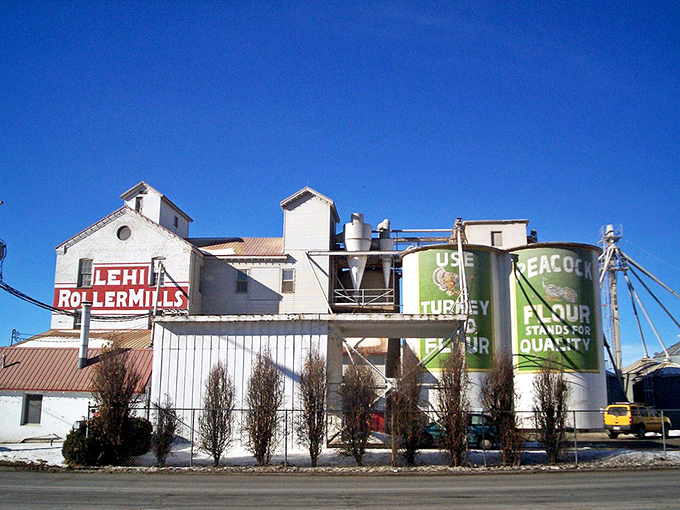 Lehi's charming main street offers small-town shopping with big personality. Stretch your Social Security dollars while enjoying genuine community connections.