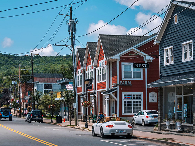 The colorful storefronts of Livingston Manor stand bright against the mountain backdrop, like a painter's palette come to life.
