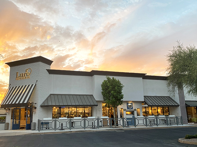 Sunset at Lure paints the perfect backdrop for seafood that deserves its own spotlight. Those clean lines outside mirror the straightforward excellence of what's on your plate.