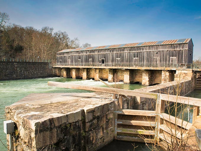 This historic covered bridge near Martinez reminds us that sometimes the most beautiful paths are the ones less traveled.