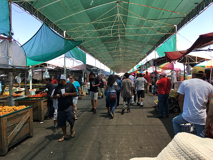 Fresh produce meets fresh finds at Stockton's sprawling market. Your grocery list and wish list can be completed in one colorful trip!