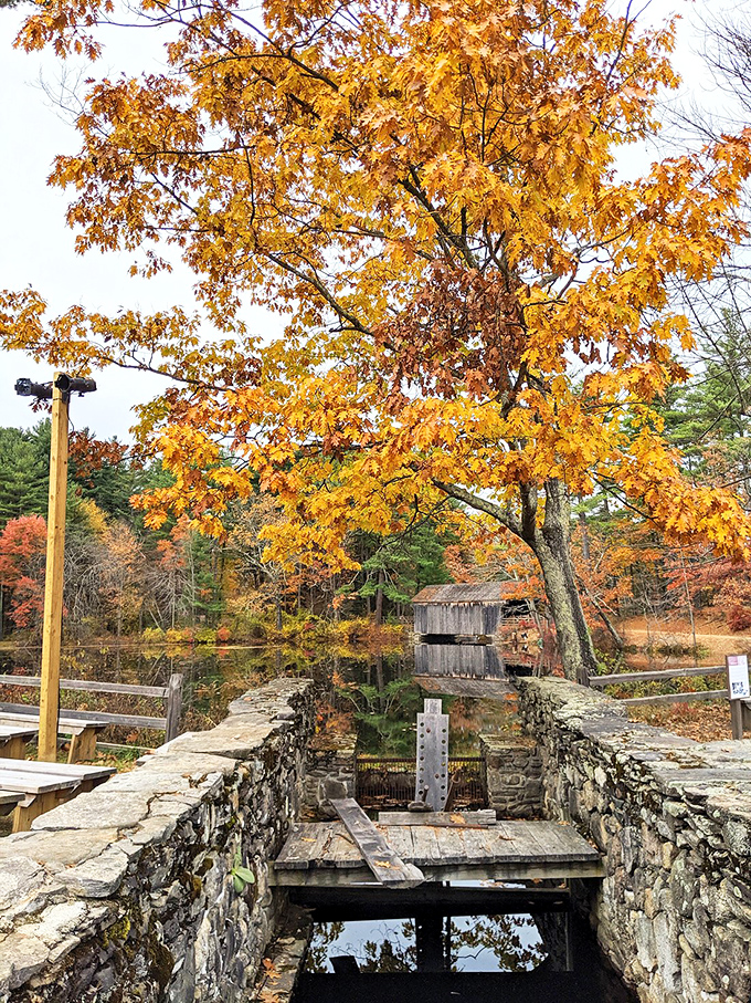 Fall in Sturbridge isn't just about leaf-peeping &ndash; it's about bumping into neighbors while exploring historic waterways under golden canopies.