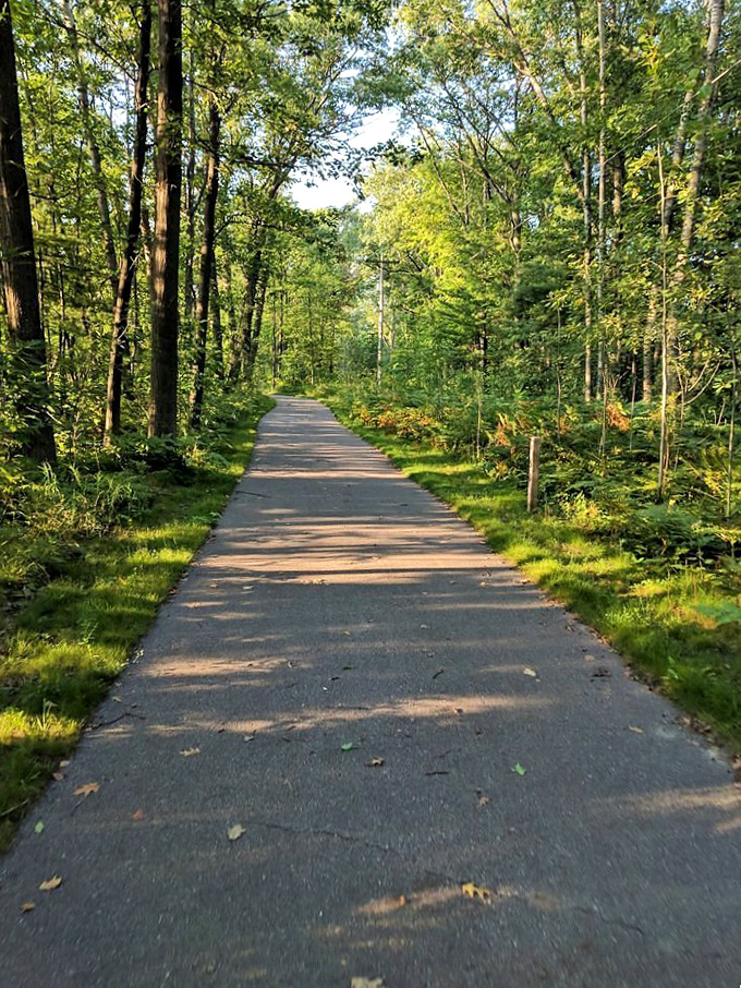 Nature's retirement plan: tree-lined paths in Tawas City where your daily walk costs nothing but time. Exercise for free!