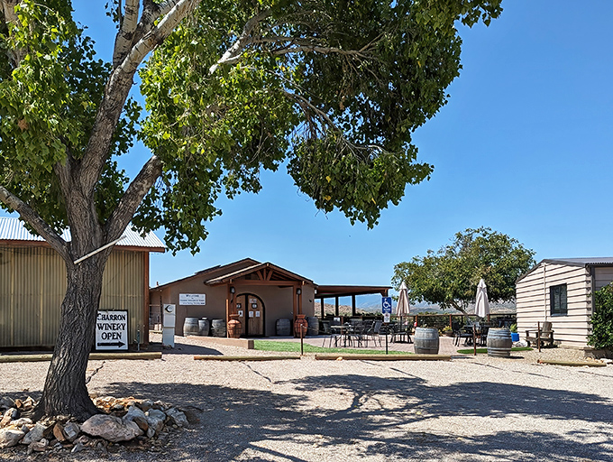 The rugged beauty of mountains and desert surrounds Vail, offering a daily nature show that doesn't charge admission.