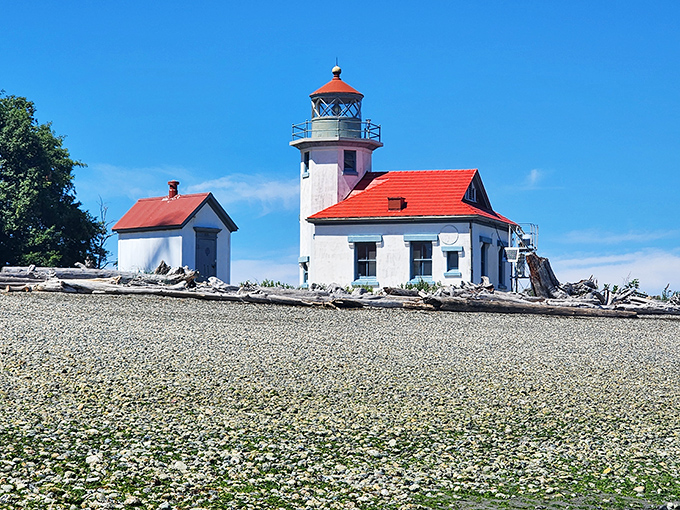 Vashon: Island sanctuary where the lighthouse keeps watch. The kind of place where you know which neighbors to call when the power goes out.