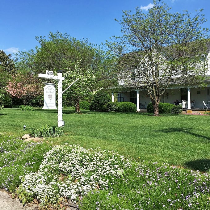 This charming white farmhouse with its flower-dotted lawn embodies the peaceful simplicity that makes Wilmore a hidden Kentucky treasure.