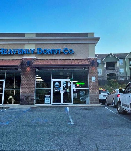 alabama apple fritters dreamy ftr