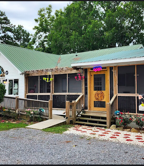 alabama wacky food drive ftr
