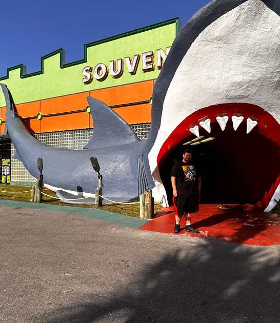 alabama whimsical gift shop ftr