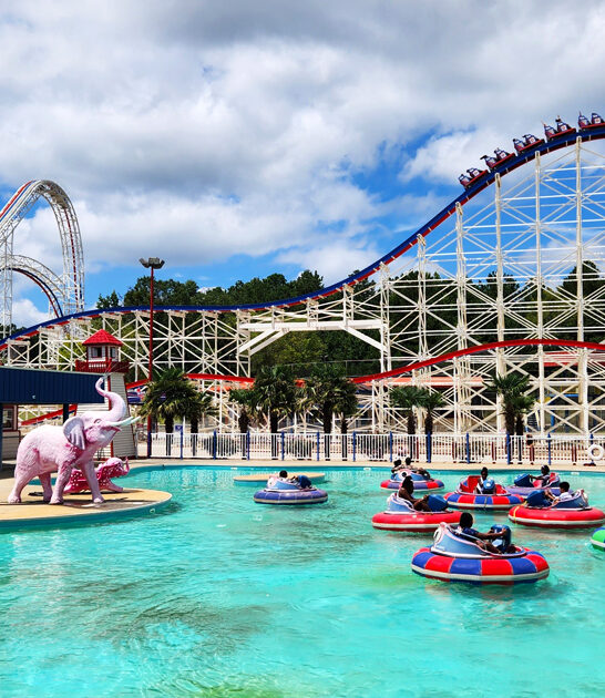 amusement park georgia ftr