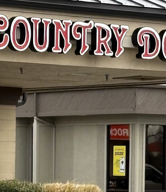 apple fritters idaho bakery ftr