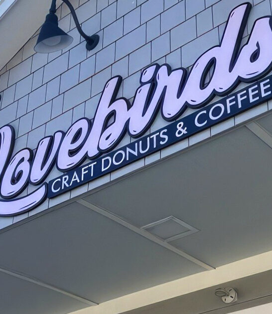 apple fritters new hampshire ftr