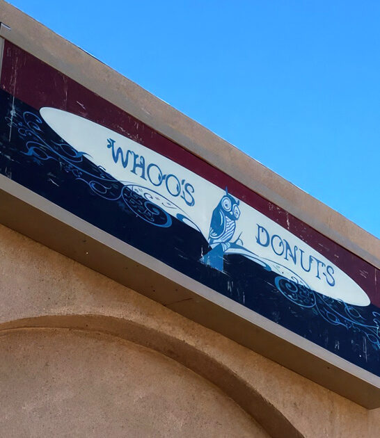 apple fritters new mexico ftr