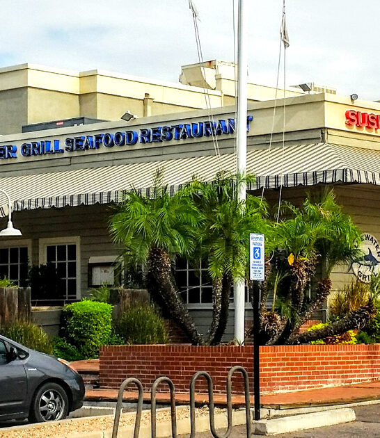 arizona clam seafood restaurant ftr