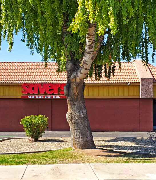 arizona vintage thrift shop ftr