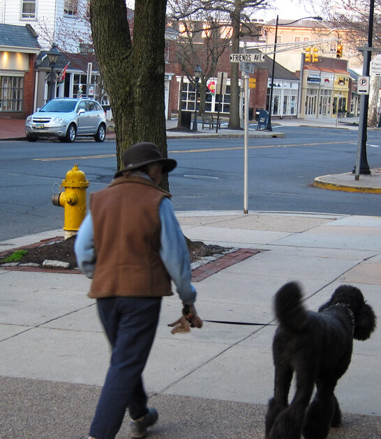 beautiful new jersey town ftr