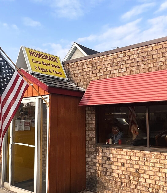 best minnesota chicken diner ftr