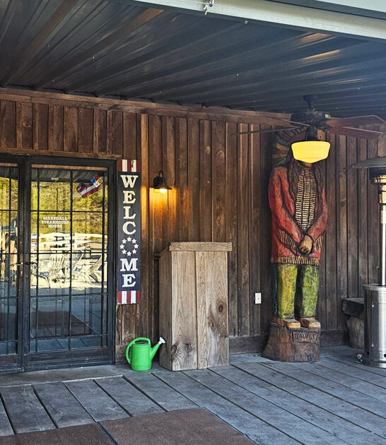 best pork chop mississippi ftr