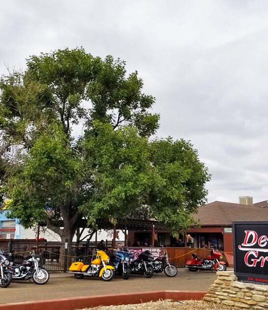 bite burgers colorado restaurant ftr