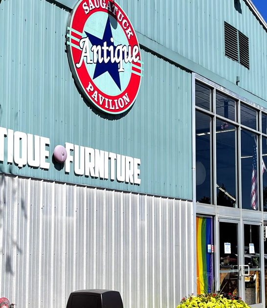 charming vintage store michigan ftr