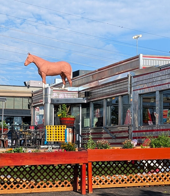 chicken fried colorado steak ftr
