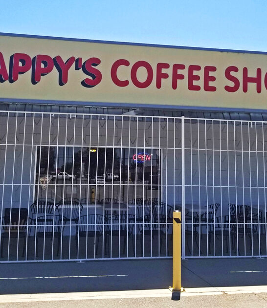 chicken steak california diner ftr