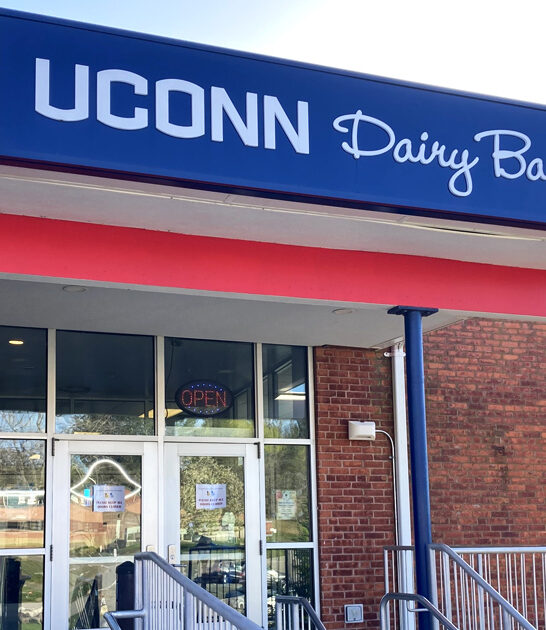 connecticut delicious sweet shop ftr