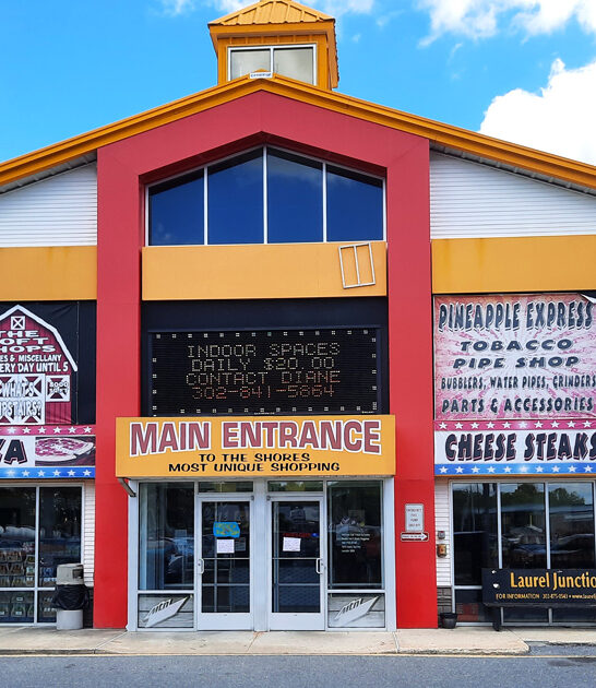 delaware crazily good bargains ftr