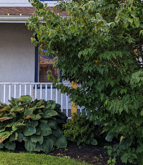 delaware fried chicken drive ftr