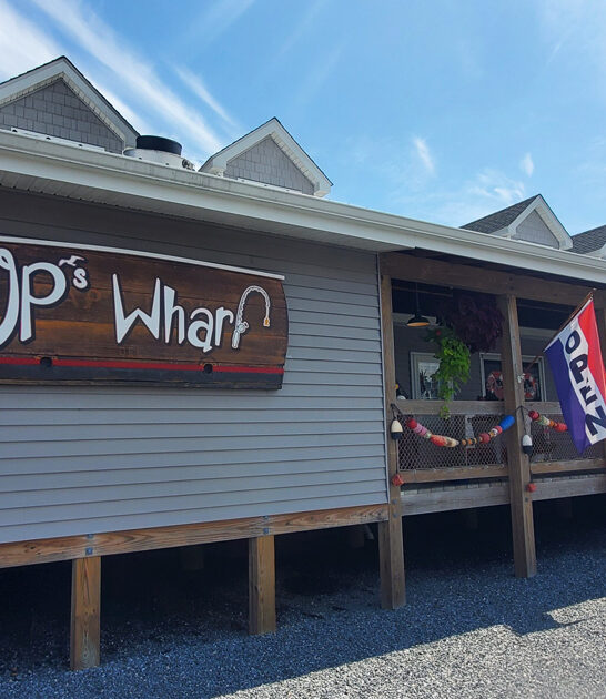 delaware homey fish eatery ftr