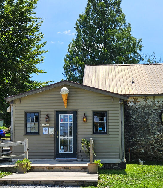 delaware ice cream ftr