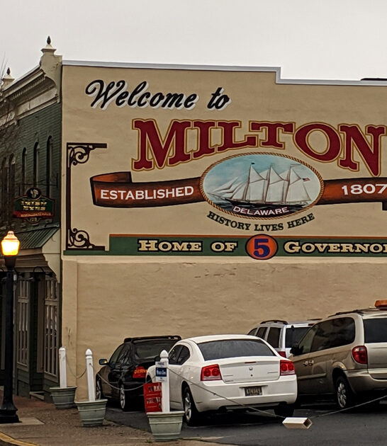 delaware vintage treasures store ftr