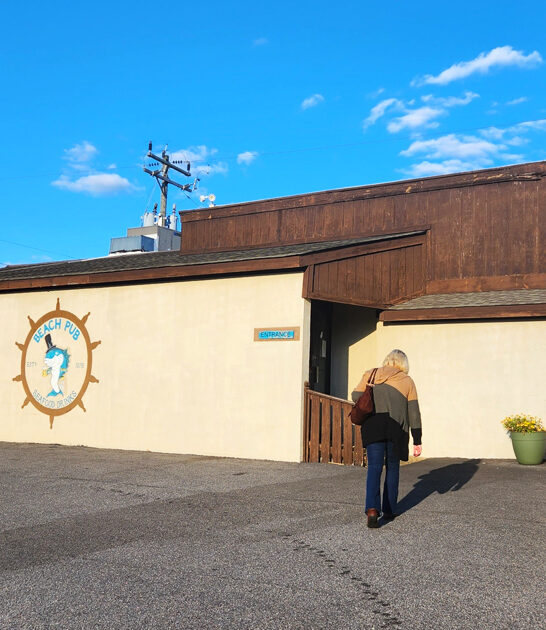 delicious virginia fish chips ftr