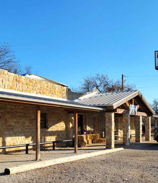 diner texas fried steak ftr