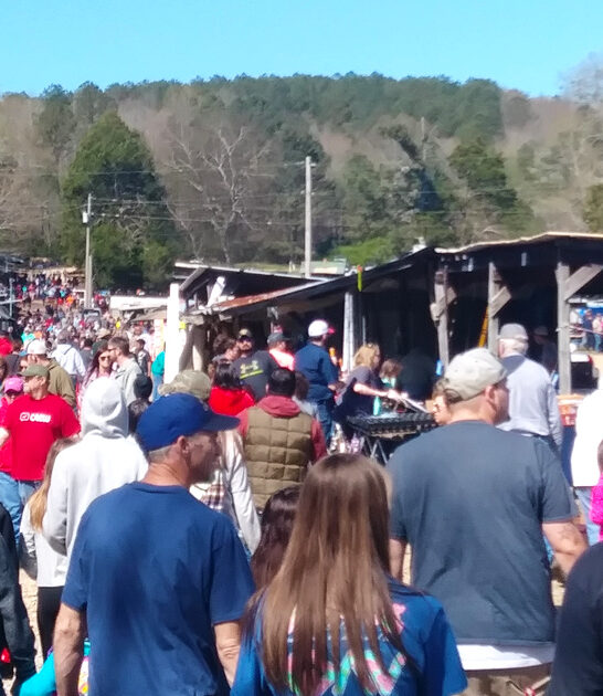 enormous flea markets alabama ftr