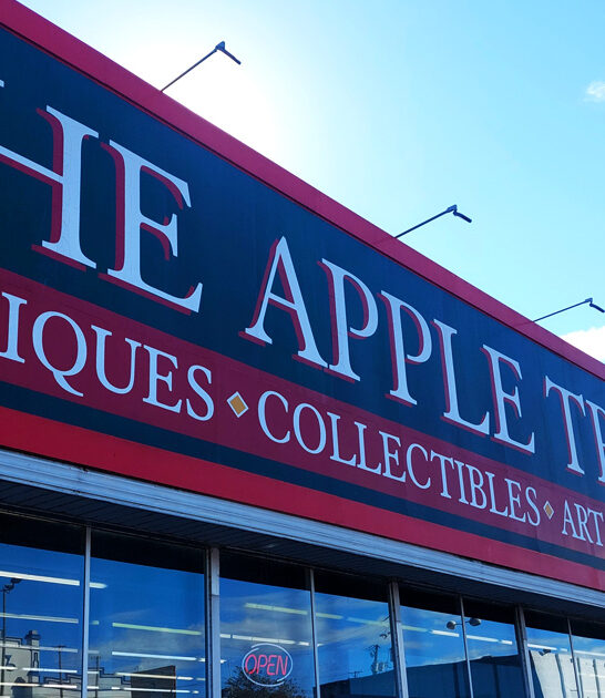 enormous indoor flea missouri ftr