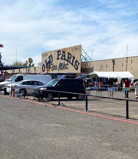 enormous indoor flea oklahoma ftr