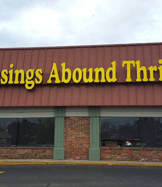 enormous secondhand shops kansas ftr