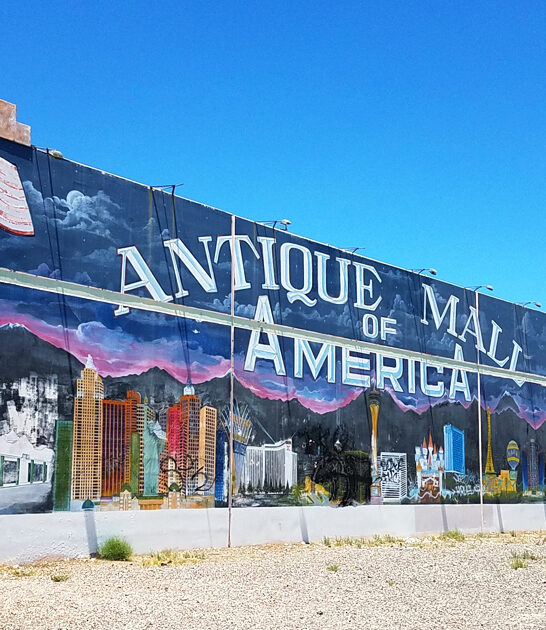 explore nevada vintage finds ftr