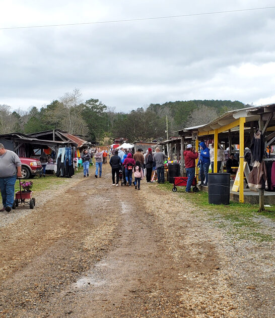 flea markets massive alabama ftr