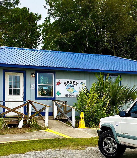 florida clam roadtrip drive ftr