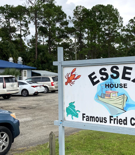 florida delicious fried clams ftr